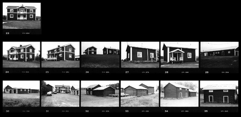 Carlotta - Fotografi